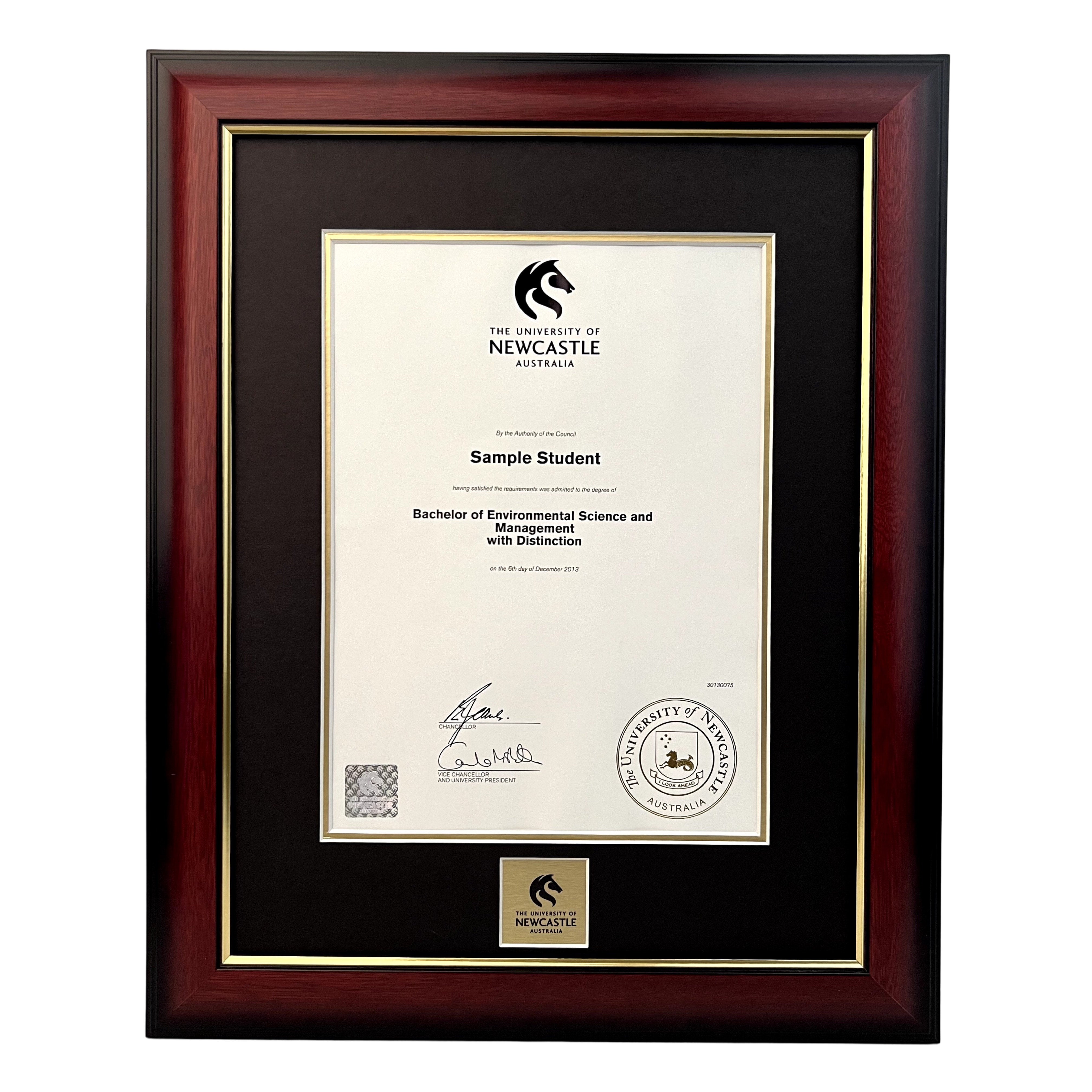 UON: Majestic Satin Gold | Jackson Frames