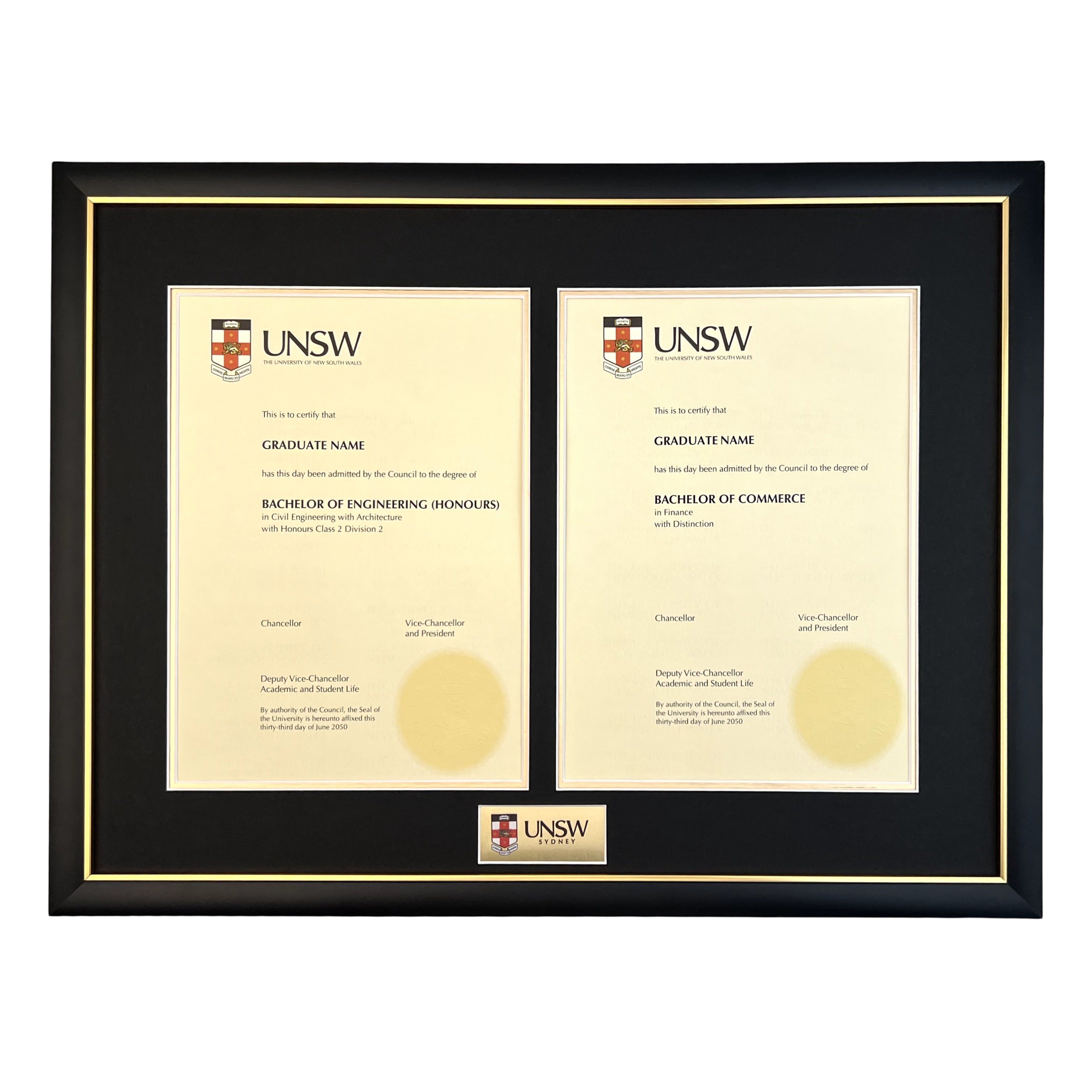 Double Frame - UNSW - Signature Gold | Jackson Frames