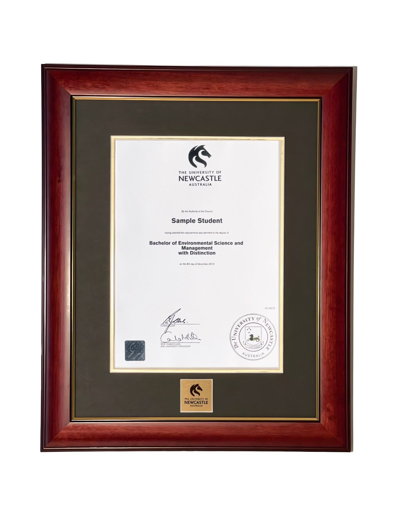 UON: Majestic Satin Gold | Jackson Frames