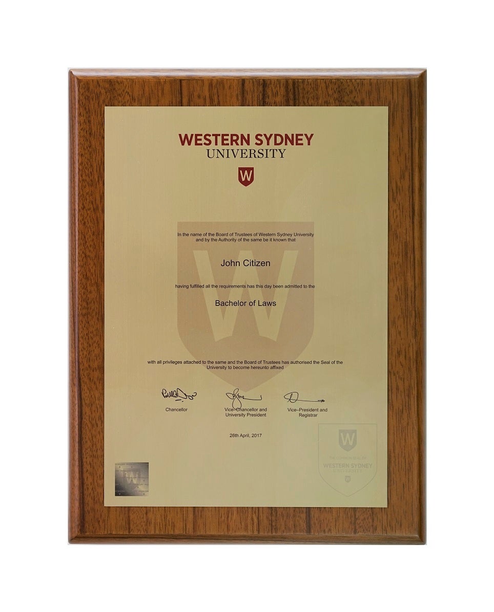 WSU: Walnut Plaque | Jackson Frames